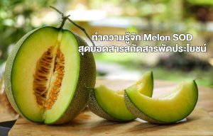 ทำความรู้จัก Melon SOD สุดยอดสารสกัดสารพัดประโยชน์ | Health and Trend